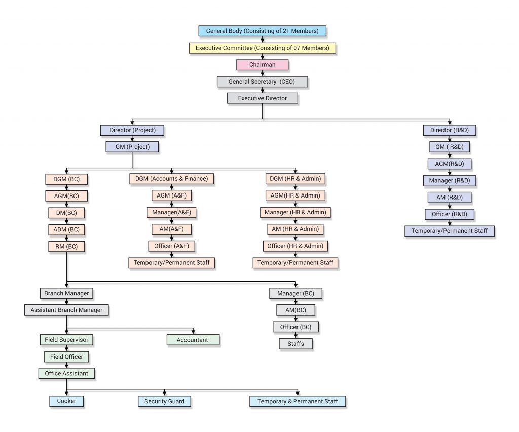 Organization Chart - Biggest NGO company in Bangladesh-vashabd.org